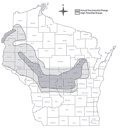 Karner Blue Butterfly Habitat