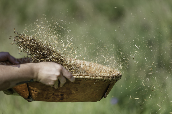 Livelihood of Native Peoples: Fishing, hunting, gathering, farming | EEK WI