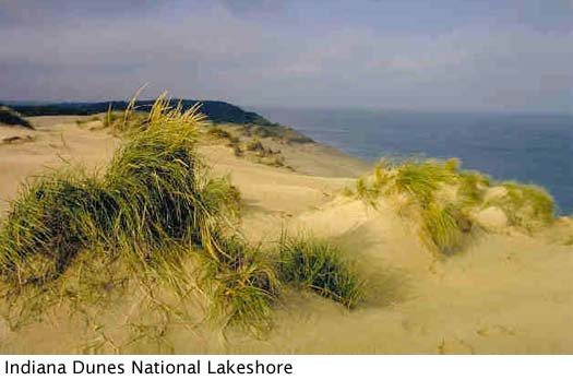 Great Lakes Sandy Dunes | EEK WI