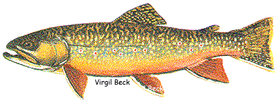 Brook Trout | EEK WI