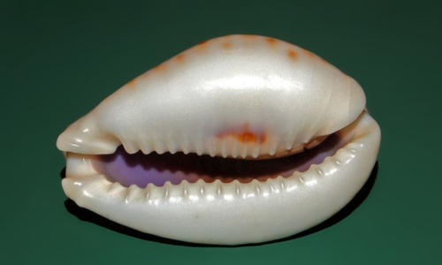 Oral tradition among Native Peoples | EEK WI