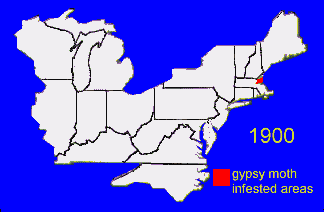 Alien Invasion: The Gypsy Moth Time Line In North America | EEK WI
