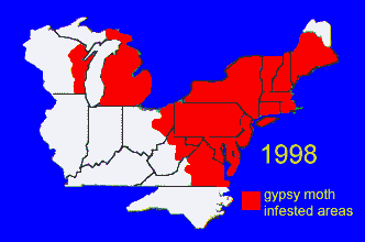 Alien Invasion: The Gypsy Moth Time Line In North America | EEK WI