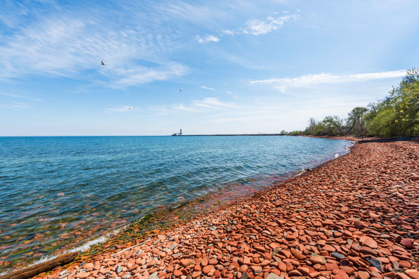 Great Lakes Ecosystems | Habitats | Species | EEK! Wisconsin