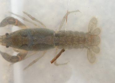 You are being redirected...