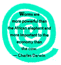 Vermicomposting - using worms to compost food waste | EEK WI